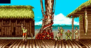 Street Fighter II': Special Champion Edition Brazil (Blanka)
